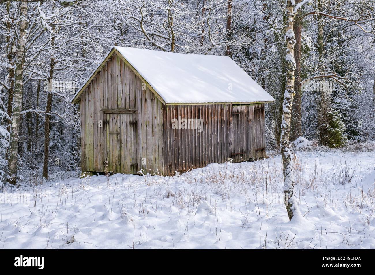 Unpainted wood shed hi-res stock photography and images - Alamy