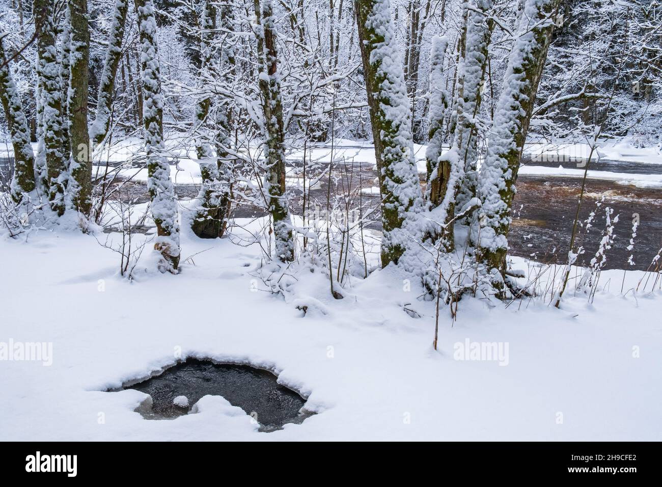 Puddle rime frost hi-res stock photography and images - Alamy