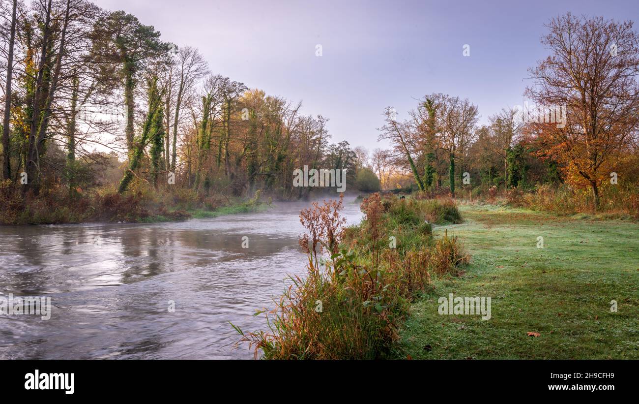 River Test at Bossington, Hampshire Stock Photo - Alamy