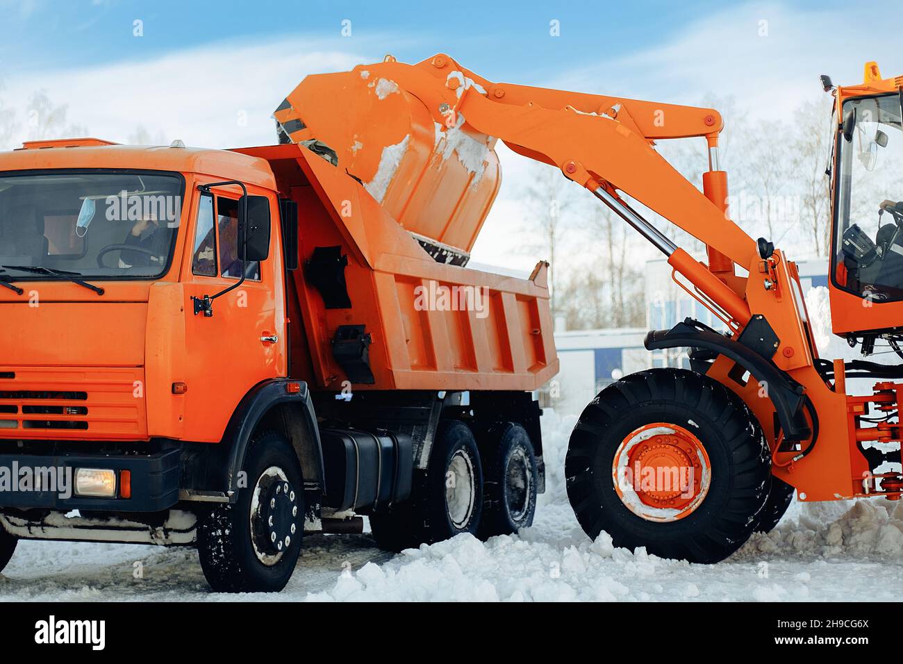 Removal of snow from streets after snowfall. Tractor loads bucket of ...