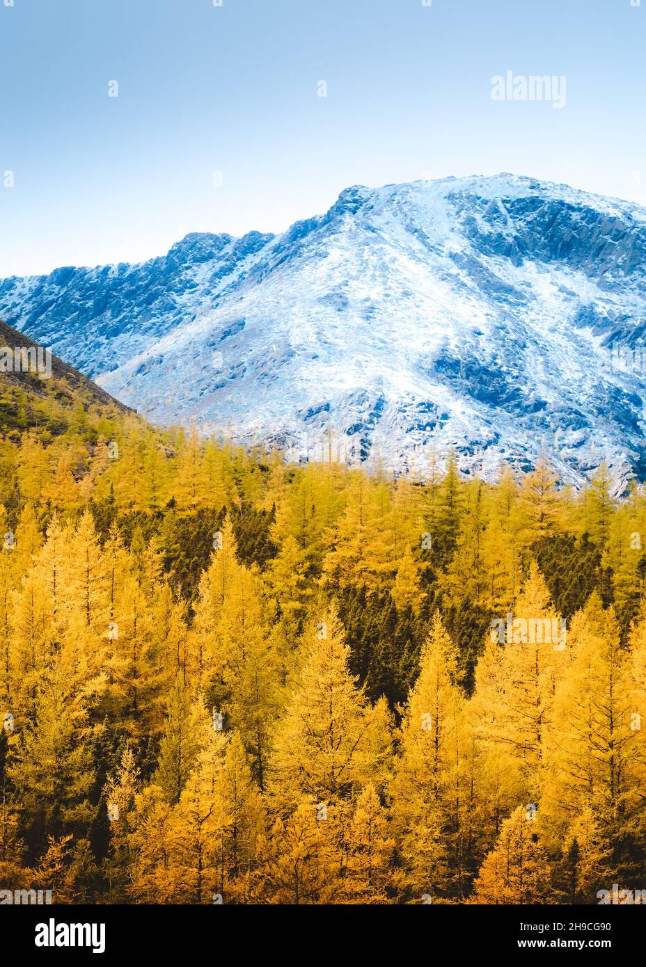 Mt albert hi-res stock photography and images - Alamy