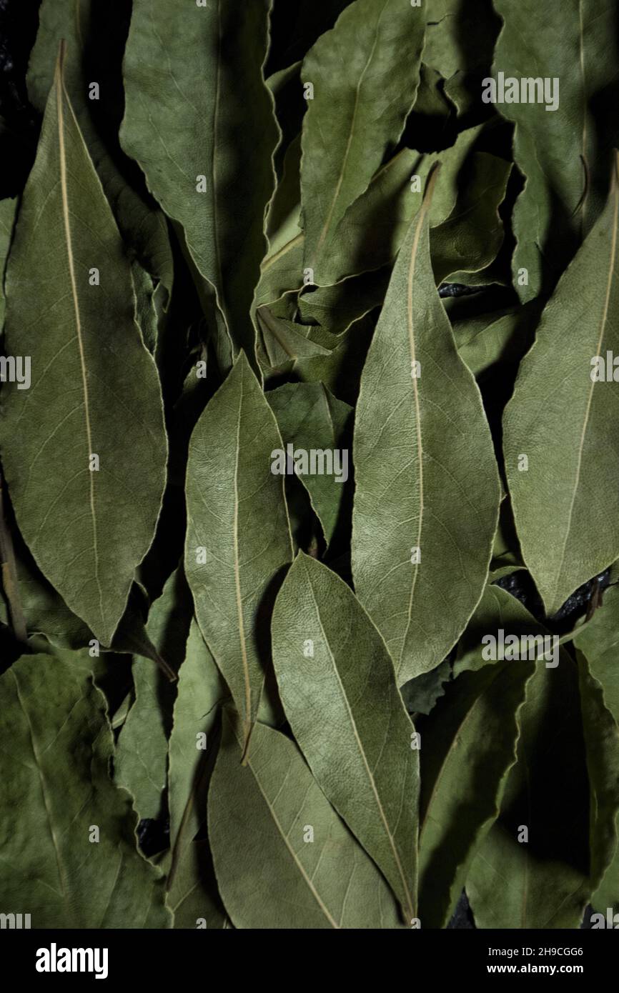 A background with bay leaves Stock Photo - Alamy