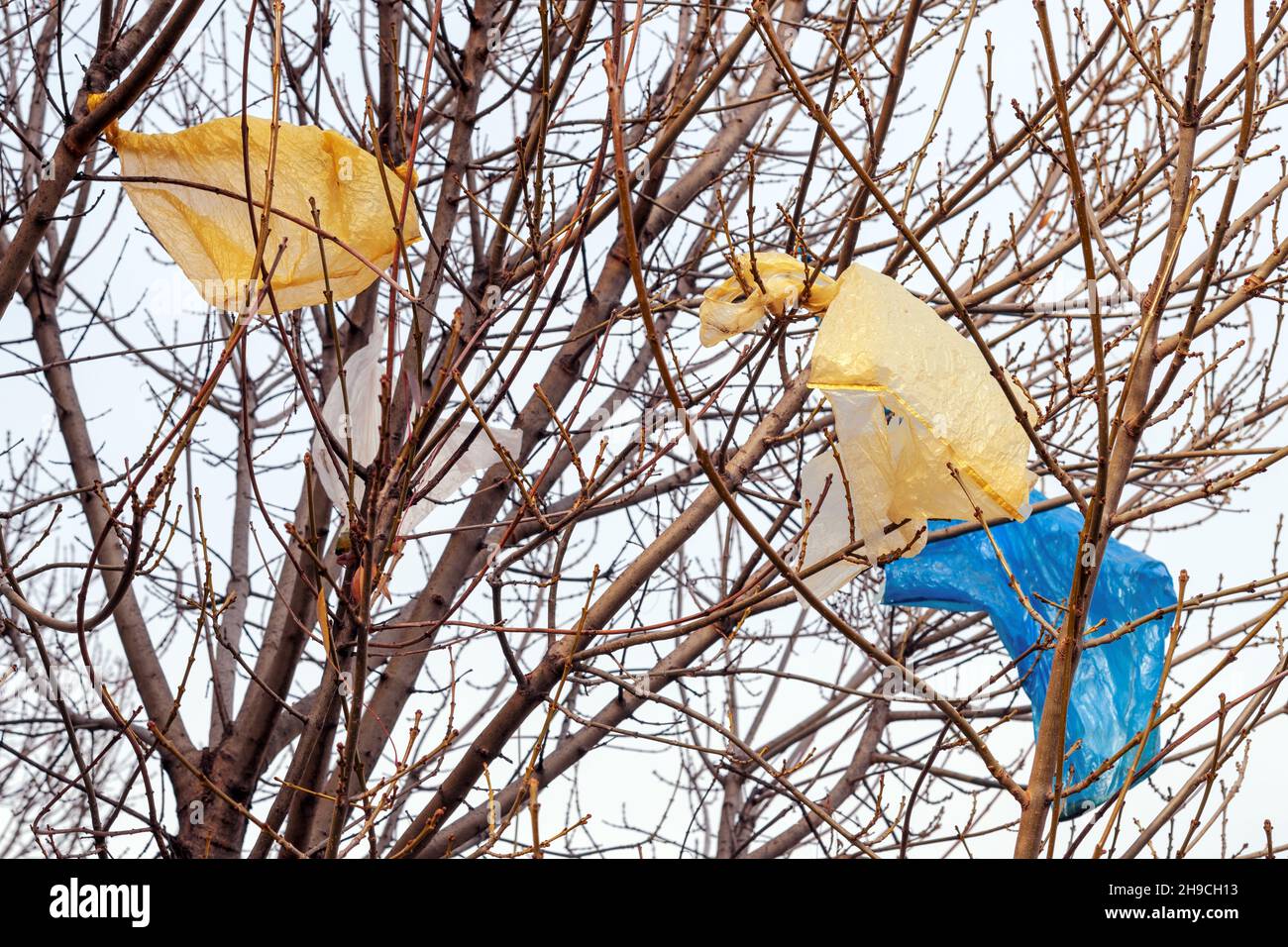Plastic pollution tree hi-res stock photography and images - Alamy