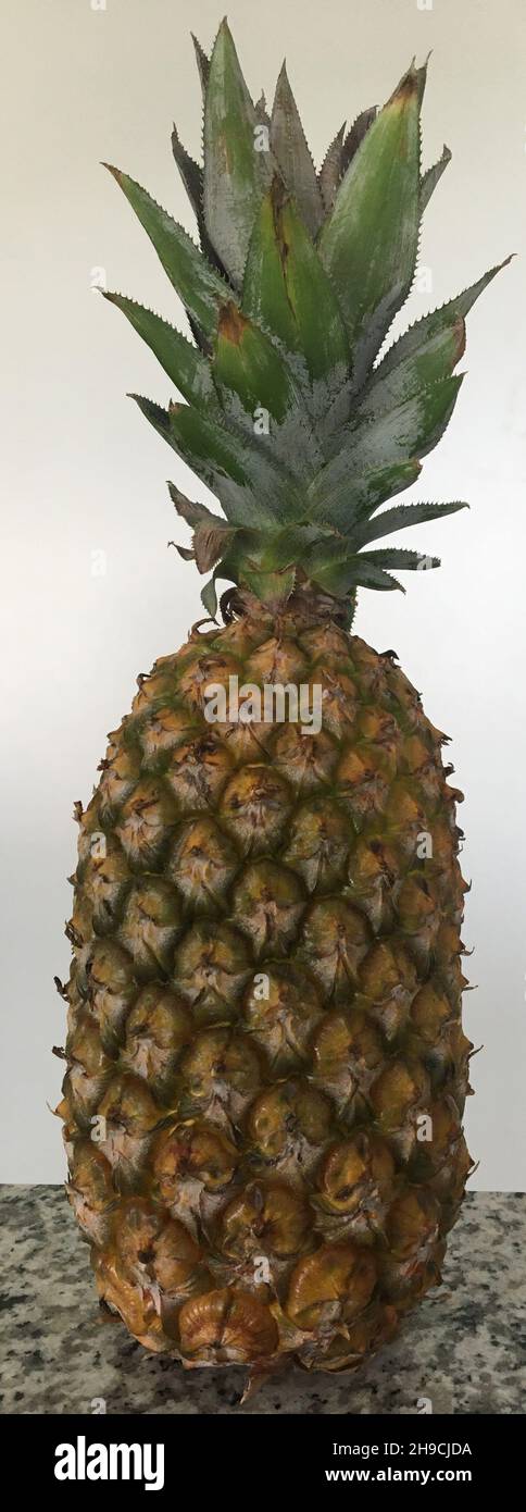 Summer fruits. Closeup photo of a pineapple Stock Photo - Alamy