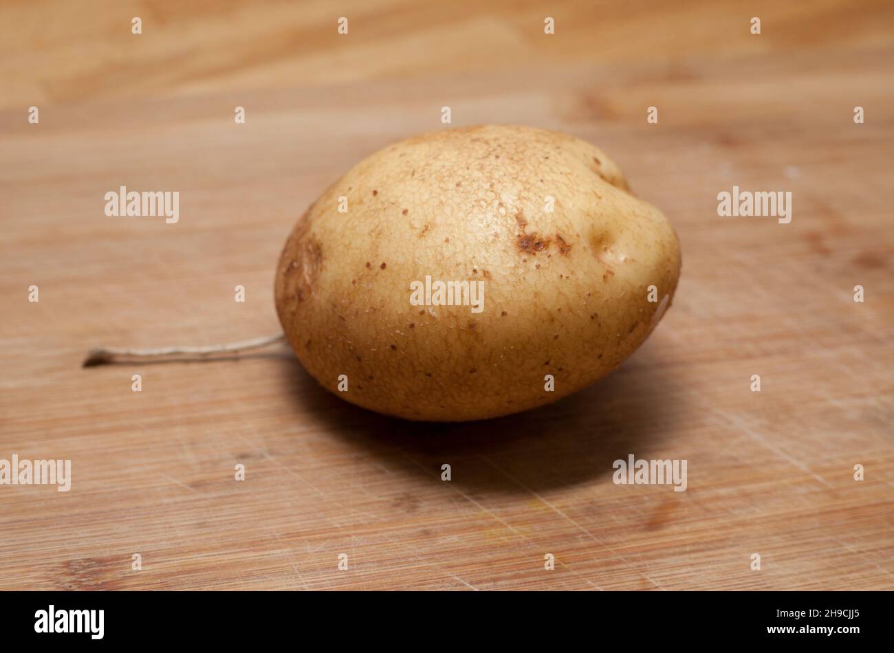 Mouse Potato