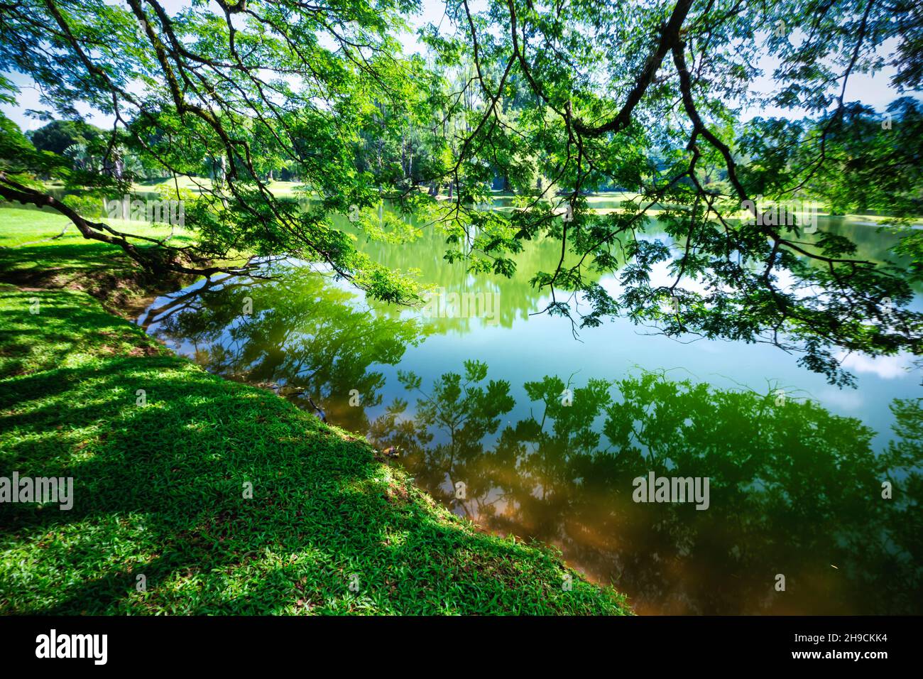 Taiping hi-res stock photography and images - Alamy