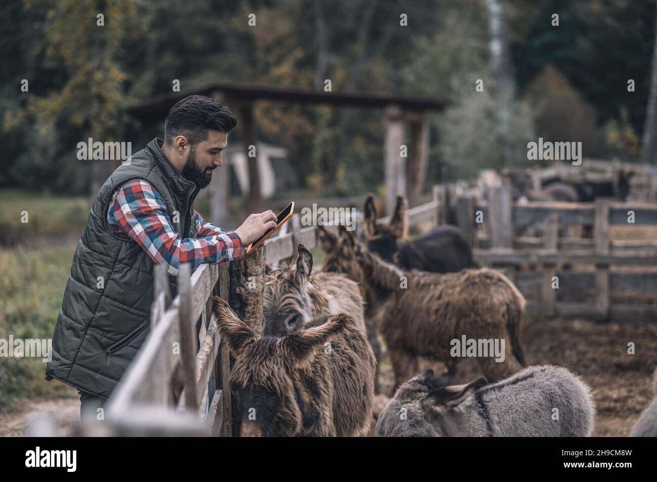 Fram animals hi-res stock photography and images - Alamy