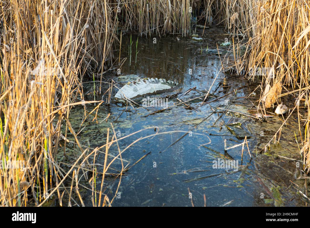 Dirty water. Ecological catastrophe, the river is polluted with rubbish ...
