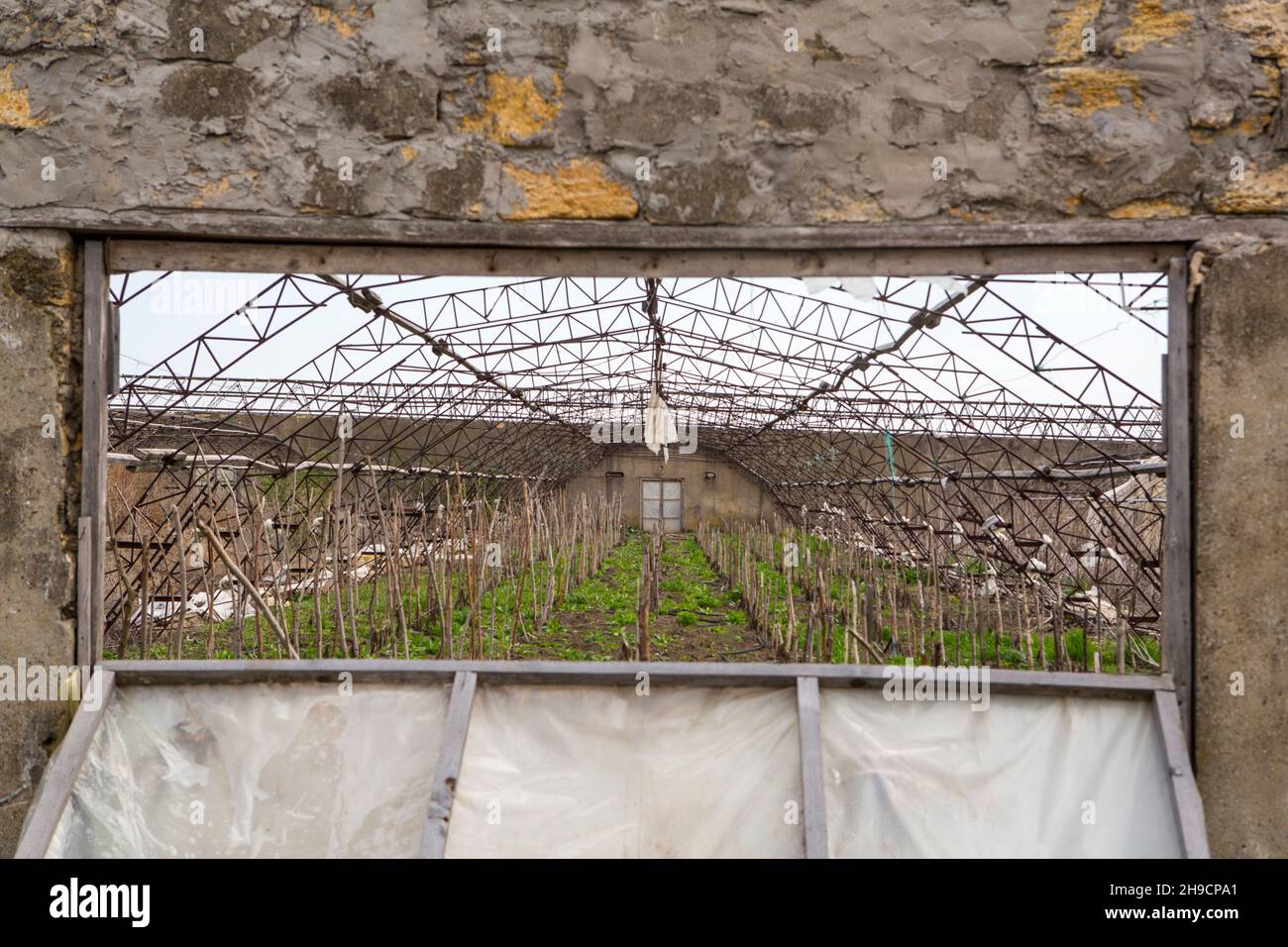 Abandoned greenhouses. Destroyed greenhouse of a ruined hothouse ...