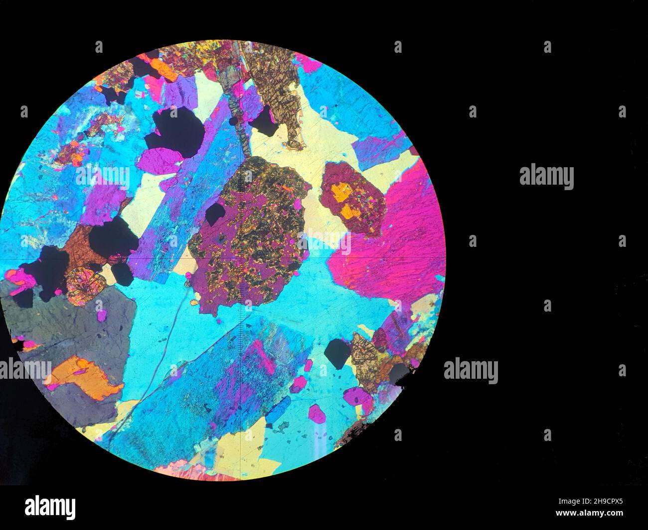 Predominant color hi-res stock photography and images - Alamy
