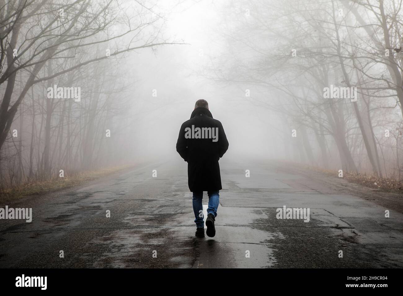 Street trees and human landscape landscape park hi-res stock ...