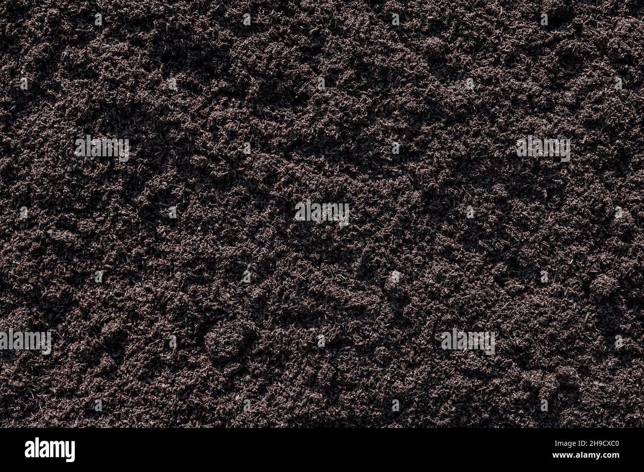 Dark Soil Texture