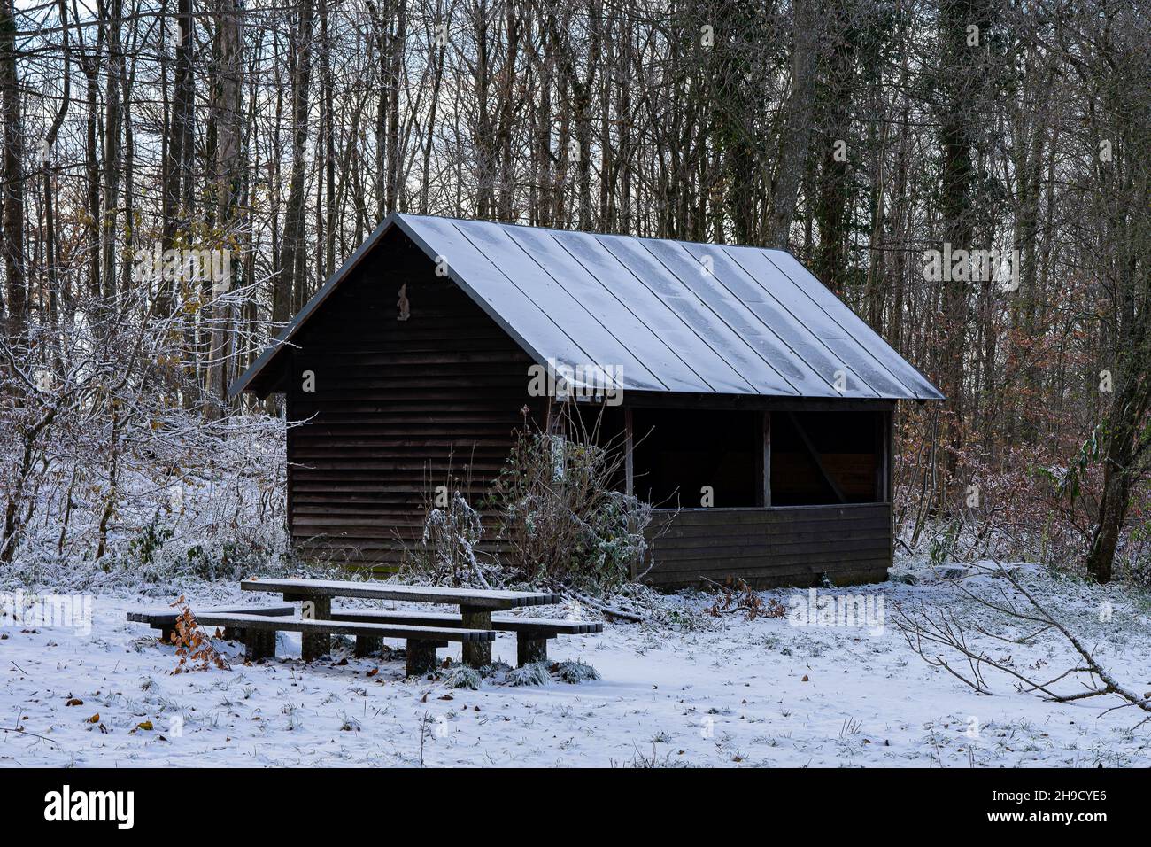 Hut with lights in forest hi-res stock photography and images - Alamy