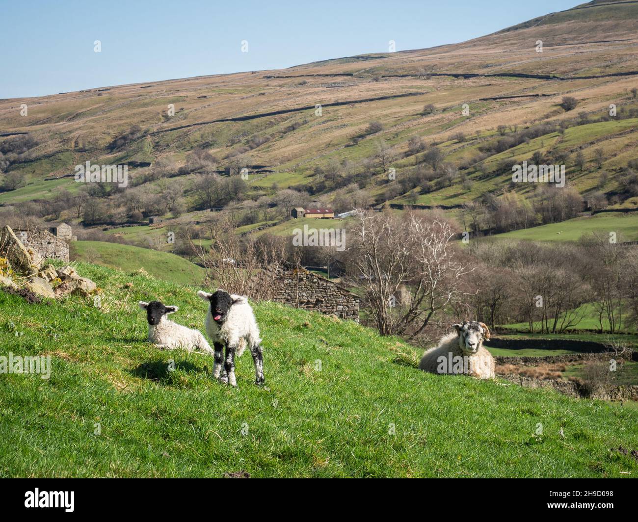 Uk farming metaphor hi-res stock photography and images - Alamy