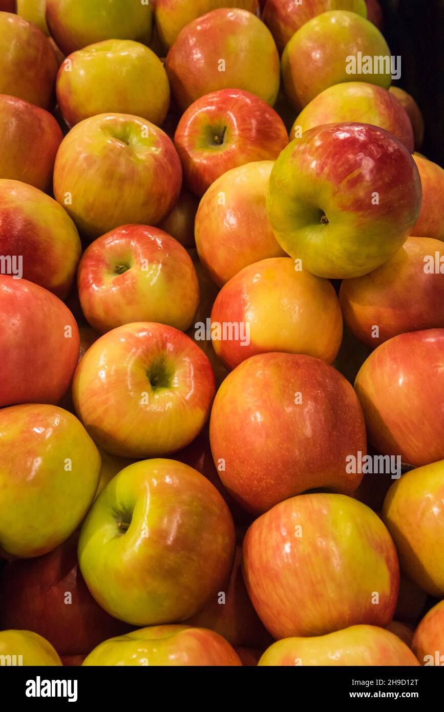 Honeycrisp apples for sale in a grocery store in North Central Florida ...