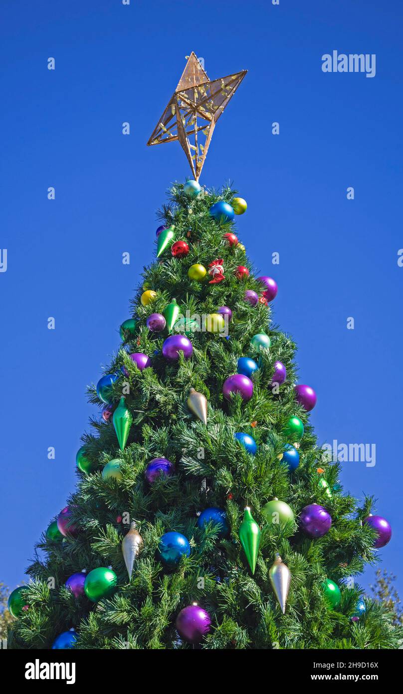 Public Christmas Tree High Resolution Stock Photography and Images - Alamy