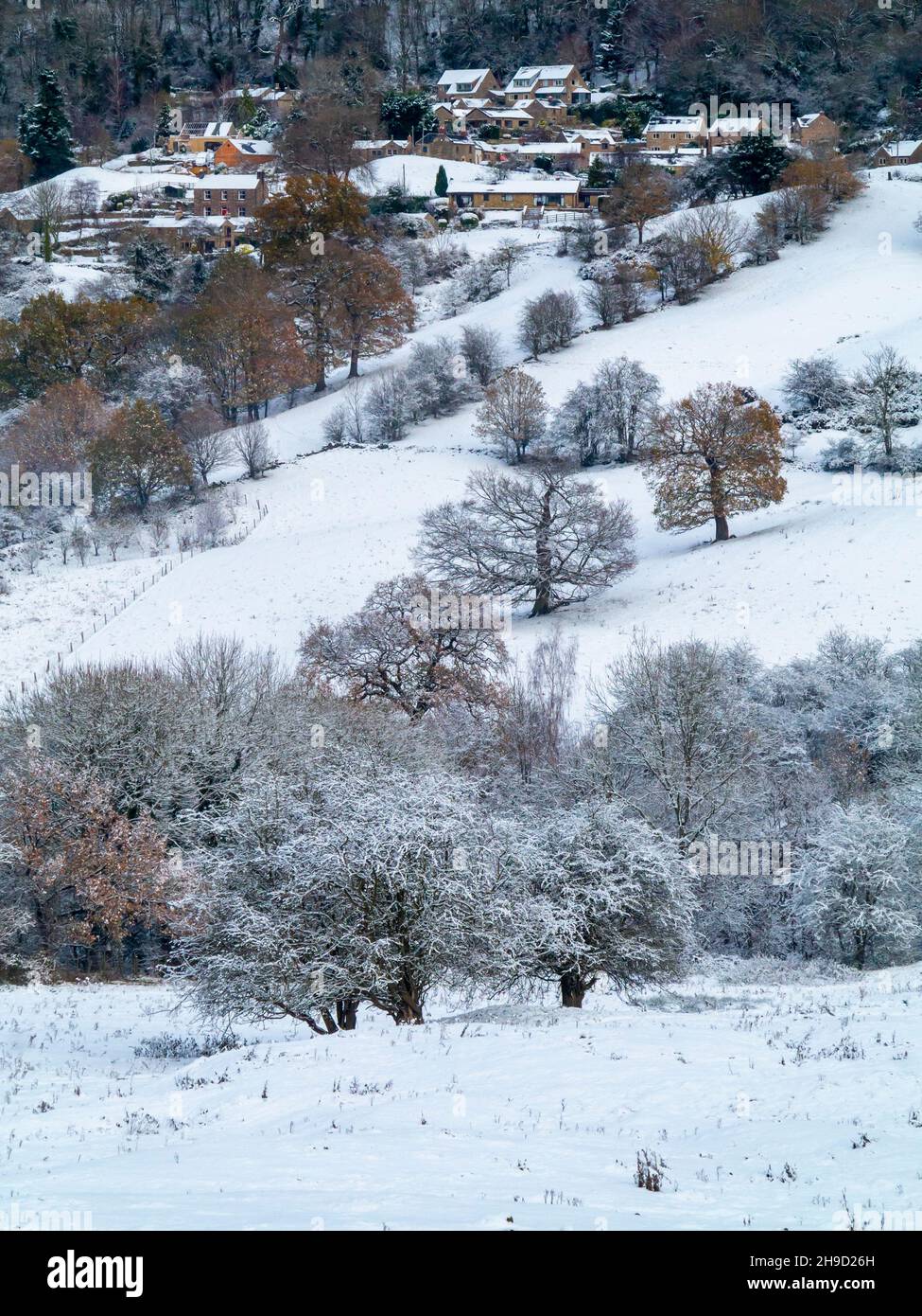 Snow covered landscape with trees at Matlock Bath in the Derbyshire ...