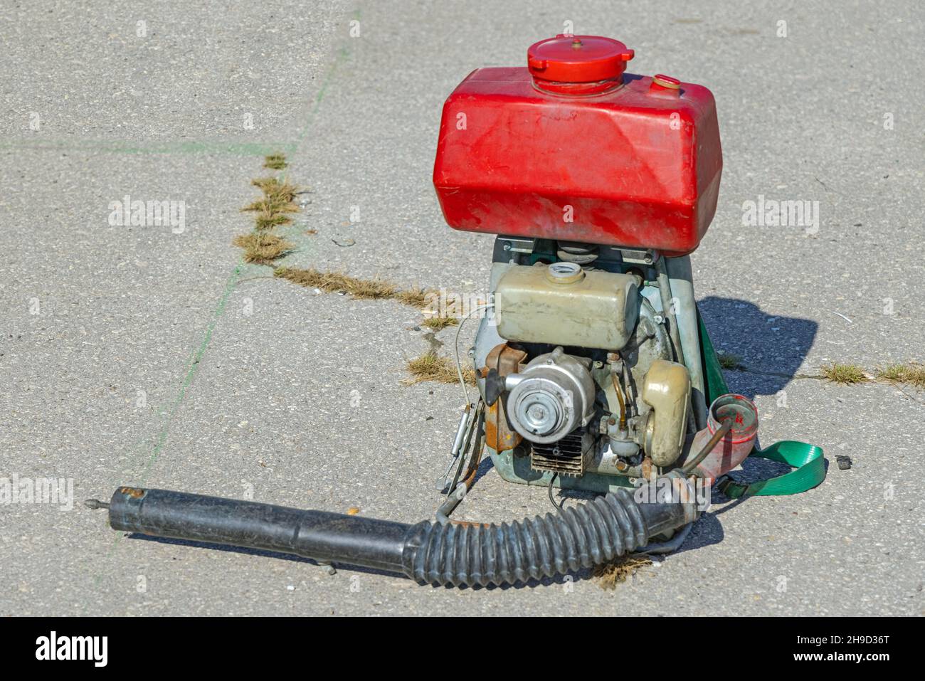 Gas Powered Mist Duster Agricultural Blower Backpack Stock Photo - Alamy