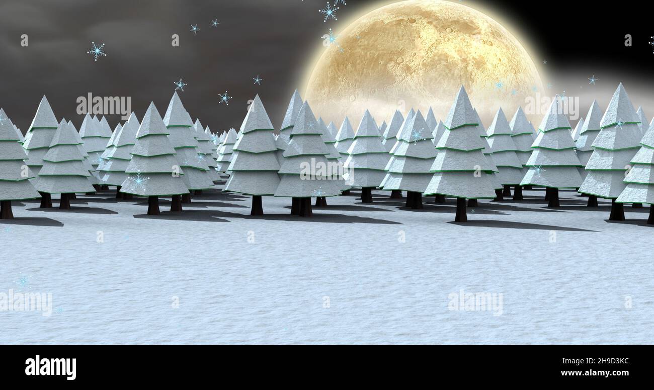 Night winter pine trees hi-res stock photography and images - Alamy