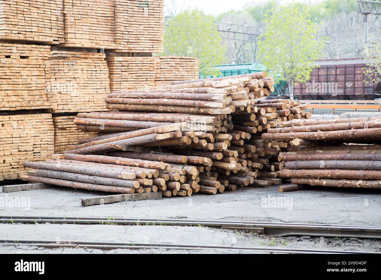 timber cargo in the port. timber for export at the time of the terminal ...