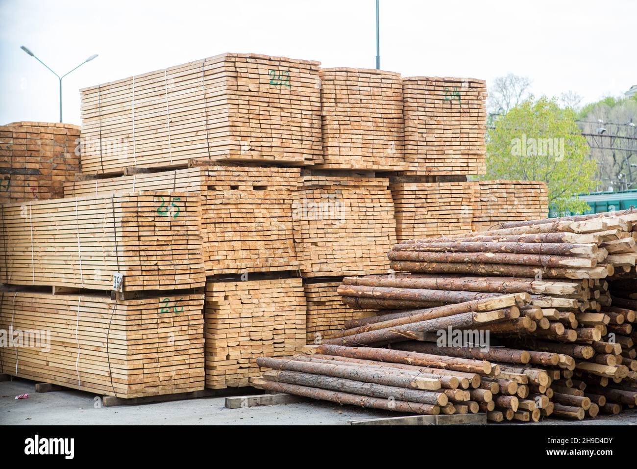 timber cargo in the port. timber for export at the time of the terminal ...