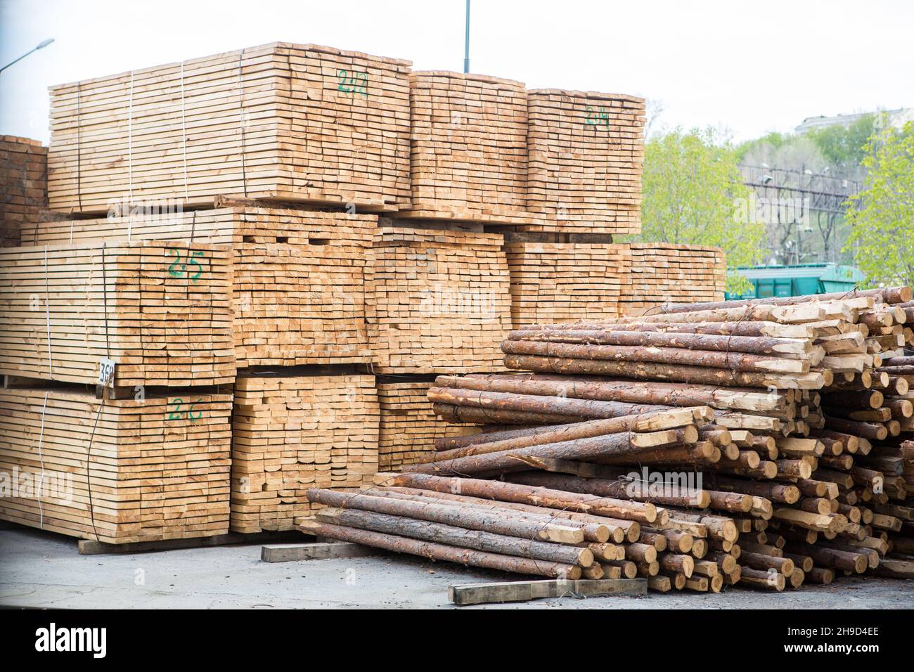 timber cargo in the port. timber for export at the time of the terminal ...
