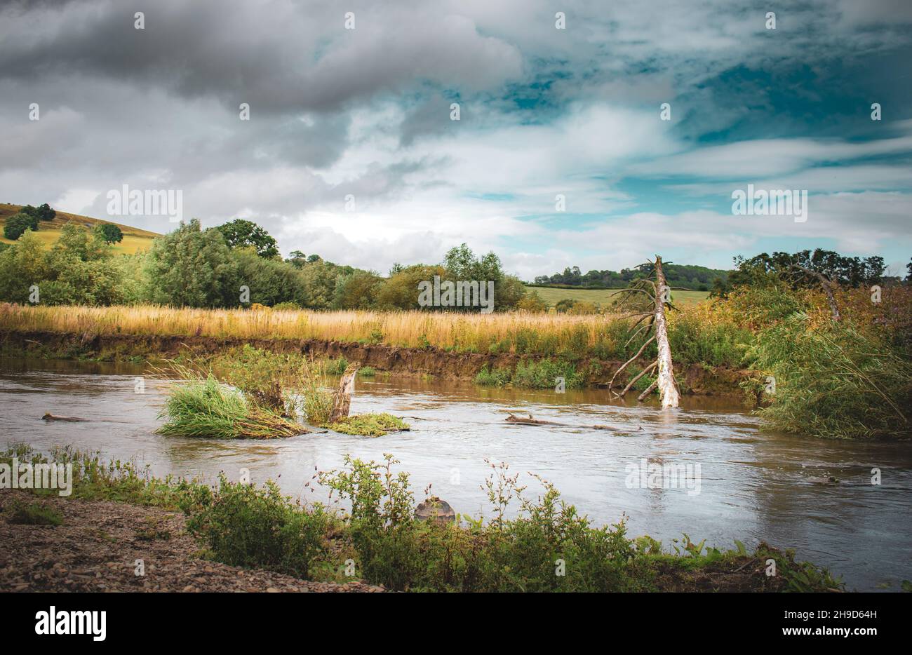 Views of the River Teme outside Leintwardine in Shropshire Stock Photo ...