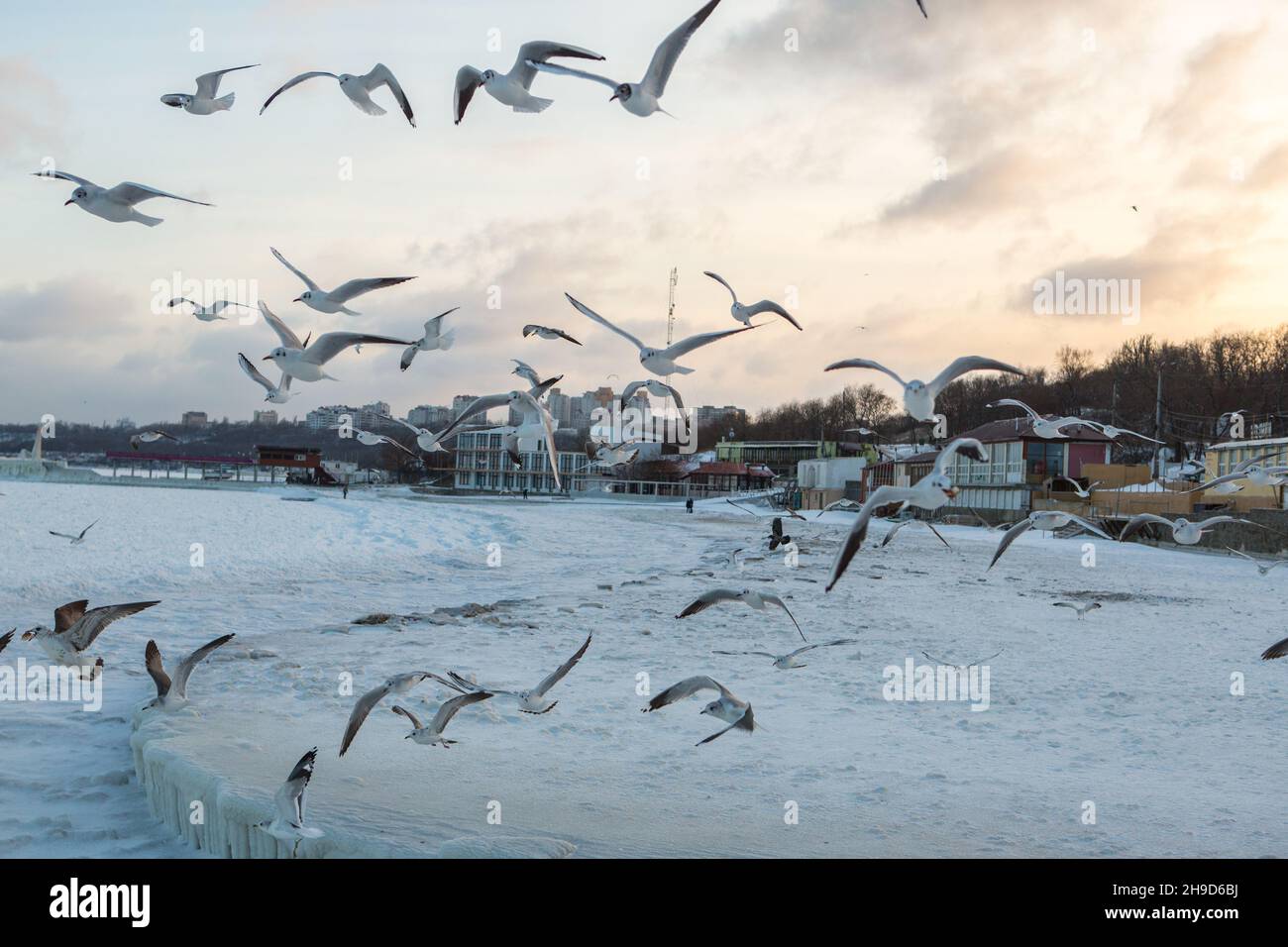 Icing. Winter natural disaster icing sea promenade after winter storm ...
