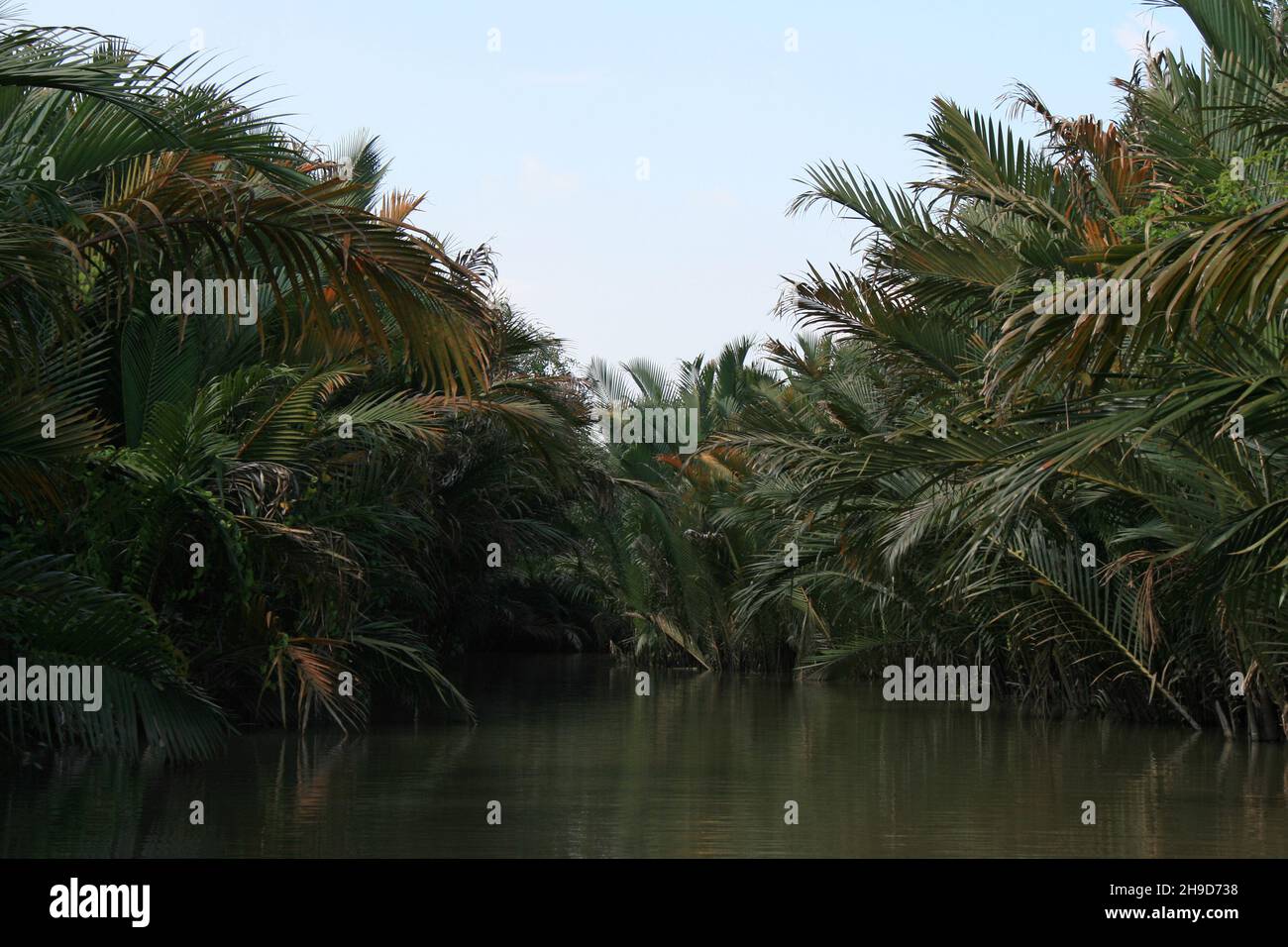 countryside around ben tre in south vietnam Stock Photo - Alamy