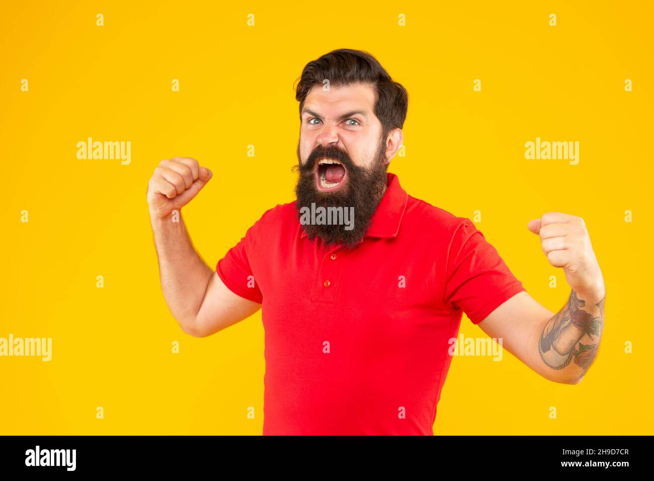 angry bearded man with moustache in tshirt on yellow background, anger ...