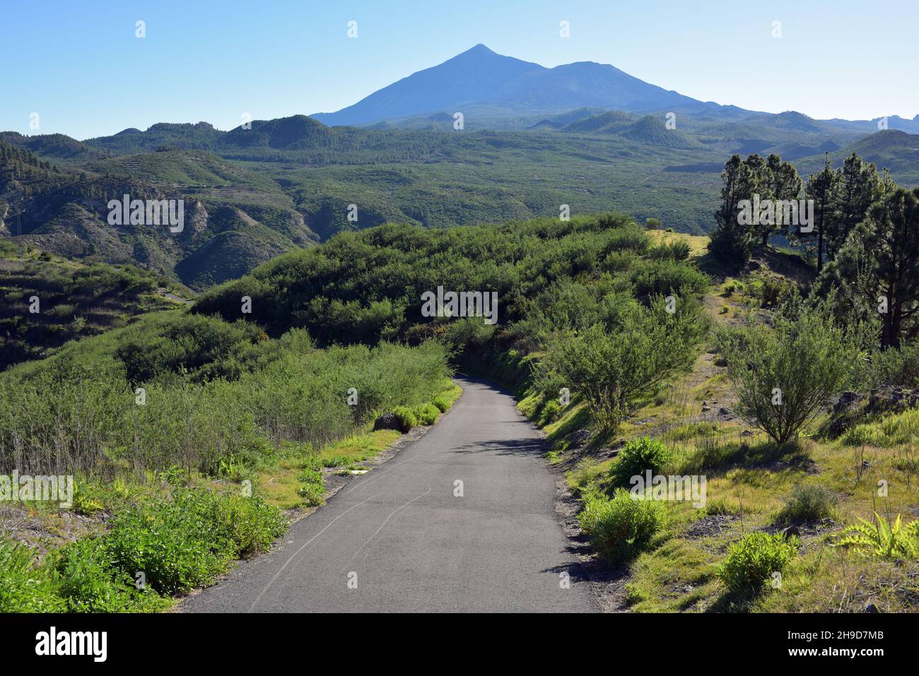 View of Mount teide, Tenerife Canaries Stock Photo - Alamy