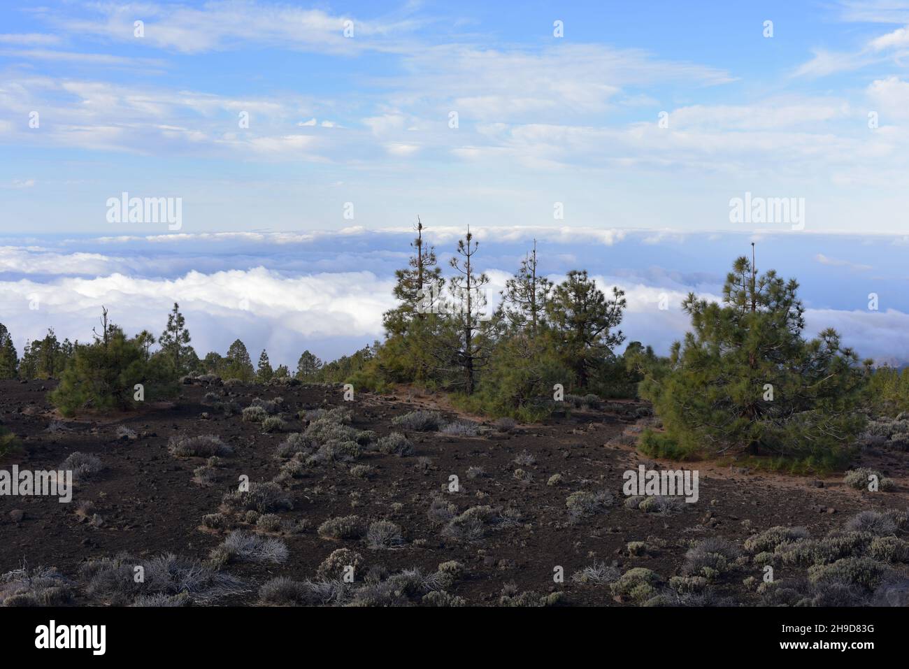Tenerife, Mount Teide and crater Stock Photo - Alamy