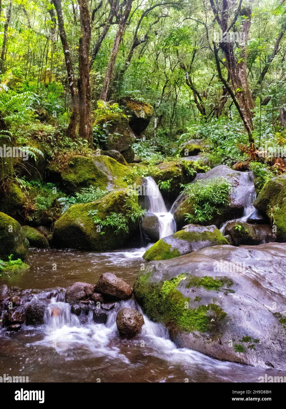 Small Waterfall on the Na Pali Trail Stock Photo - Alamy