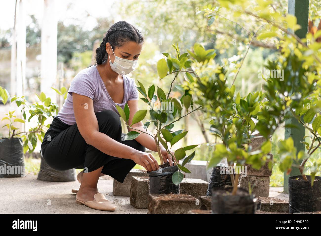 Worker planting tree hi-res stock photography and images - Alamy