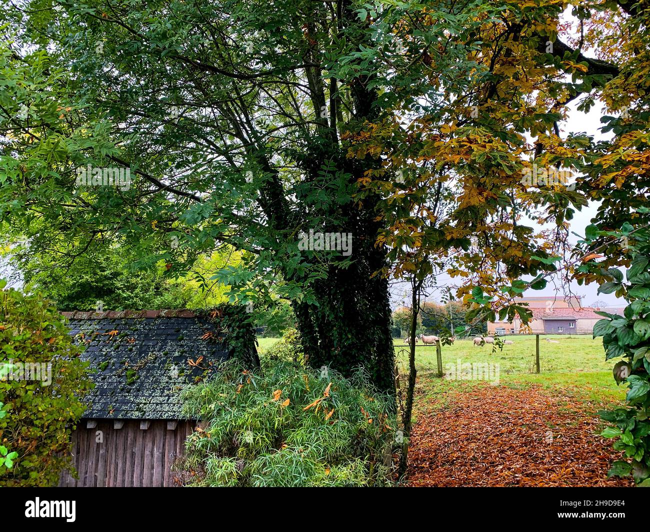Wash-house, Family house of French poet Arthur Rimbaud, Roche, Ardennes ...