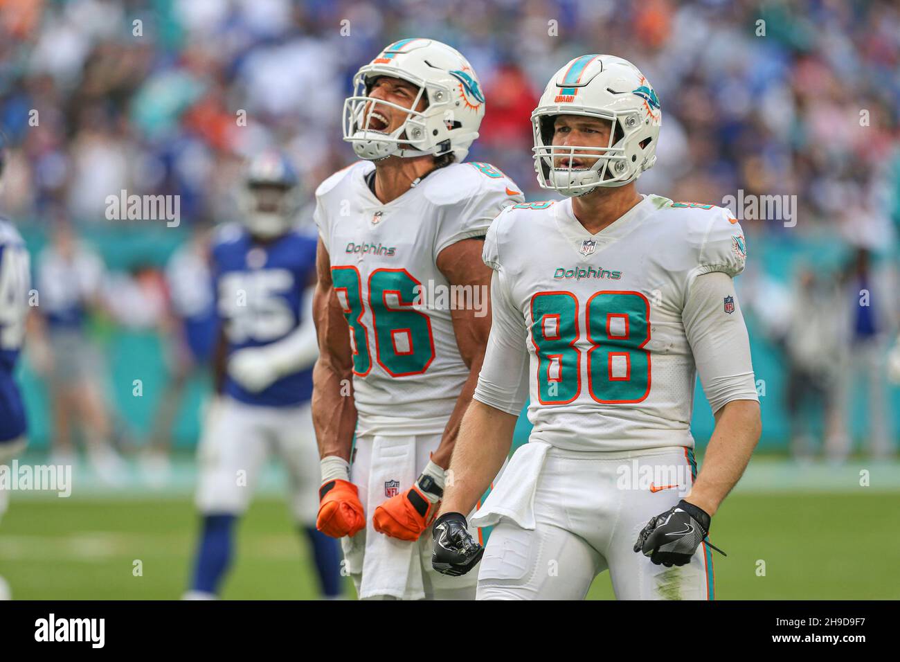 Sunday, December 5, 2021; Miami Gardens, FL USA; Miami Dolphins wide receiver Mack Hollins (86 ...