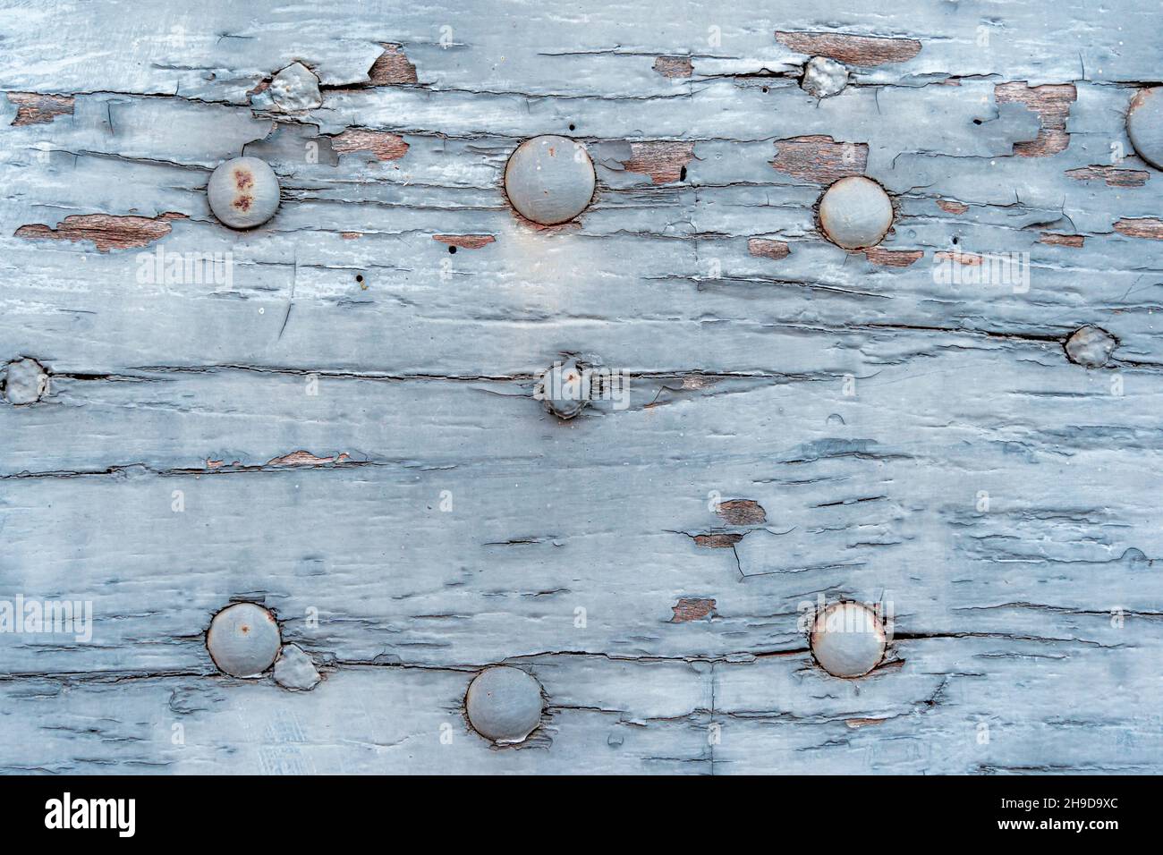 Surface rotten wood holes hi-res stock photography and images - Alamy