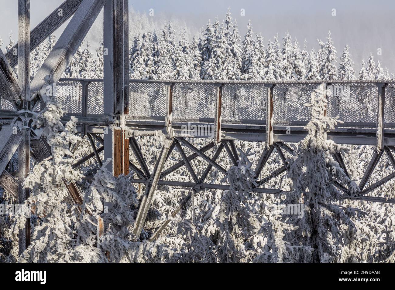 Dolni Morava Sky Walk in the winter, Czech Republic Stock Photo - Alamy