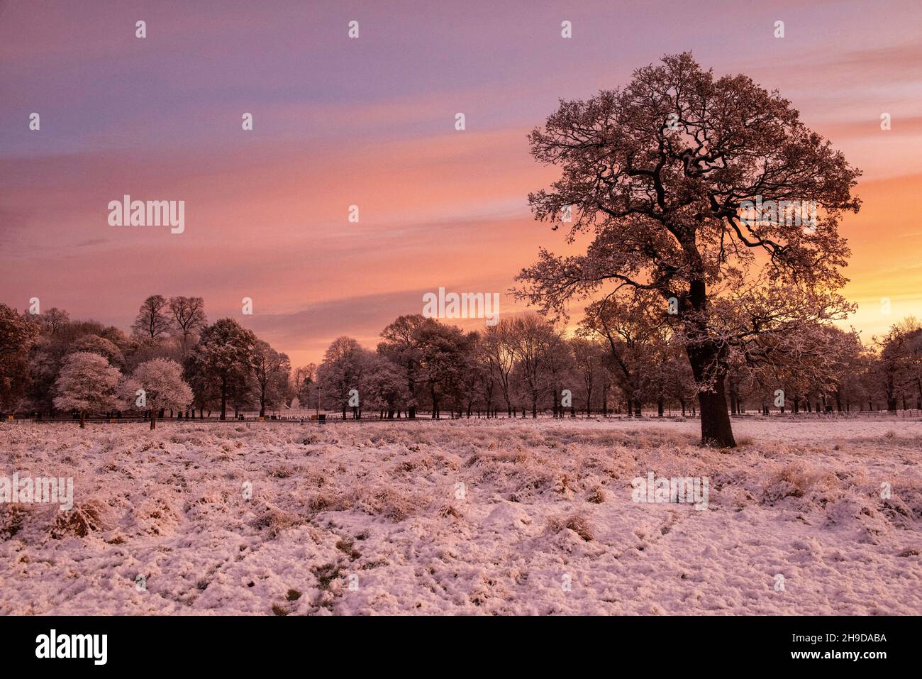 Snowy winter sunrise at Wollaton Hall Park in Nottingham ...