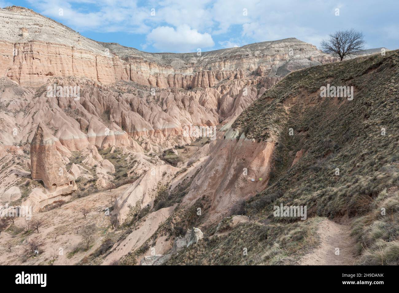 Silhouette of barren tree in white eroded tuff landscape in wintertime ...