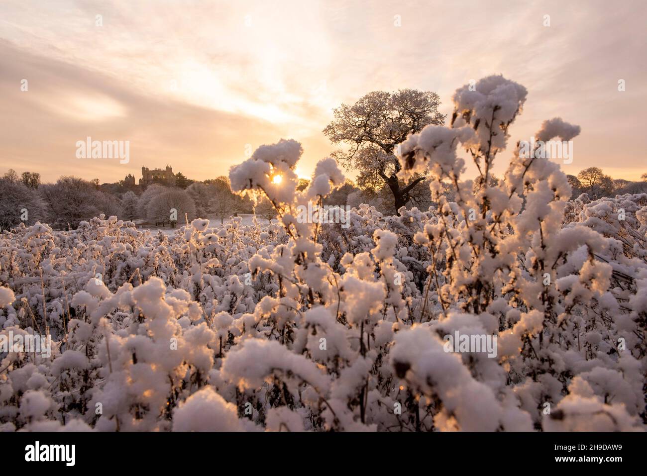 Snowy winter sunrise at Wollaton Hall Park in Nottingham ...