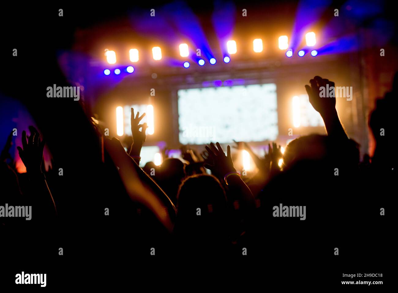 Crowd at music festival silhouette making noise. Having fun Stock Photo ...