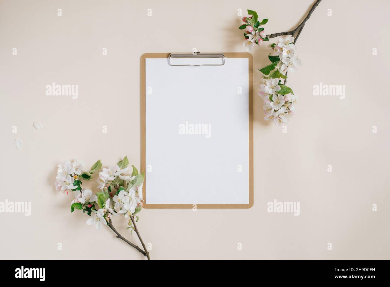 Blank sheet of paper notepad with a clip, apple tree branches with ...
