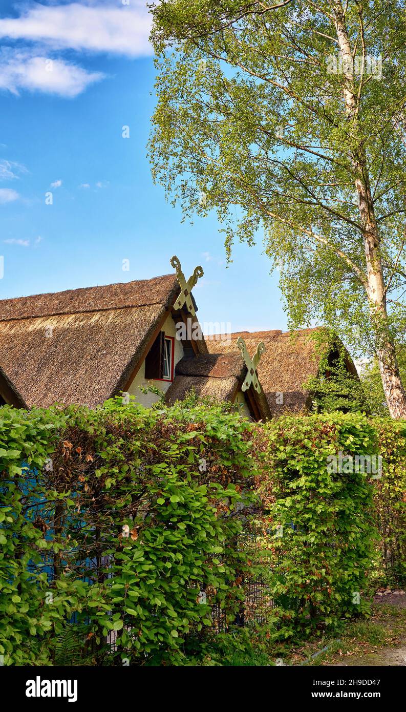 Houses with an old thatched roof behind a front garden hedge Stock ...