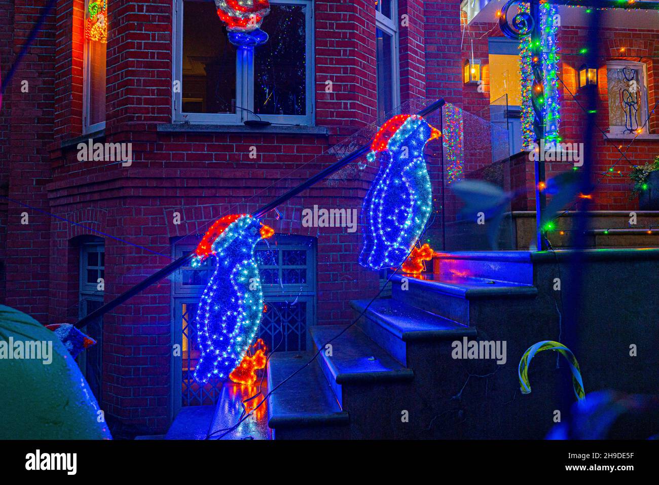 House decorated with Christmas lights, Wimbledon, London, UK Stock ...