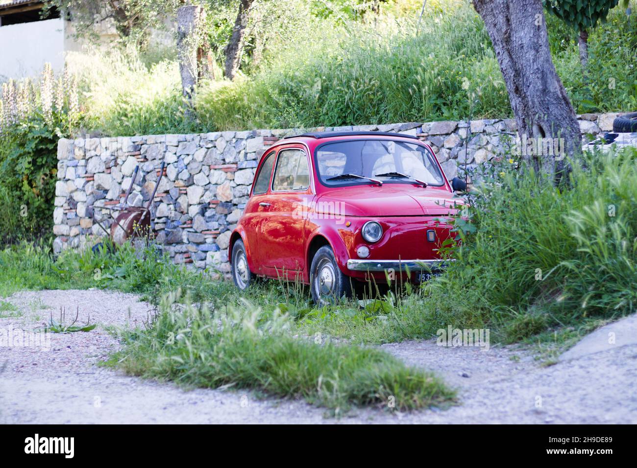 Classic red Fiat 509 parked under a tree surrounded by grass Stock ...