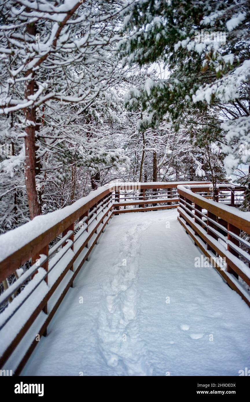 Covered pedestrian walkway hi-res stock photography and images - Alamy