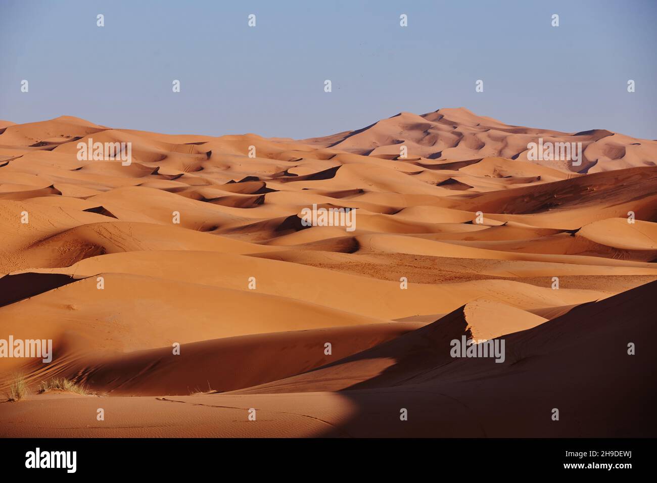 Endless Sands of the Sahara desert. Beautiful sunset over sand dunes of ...