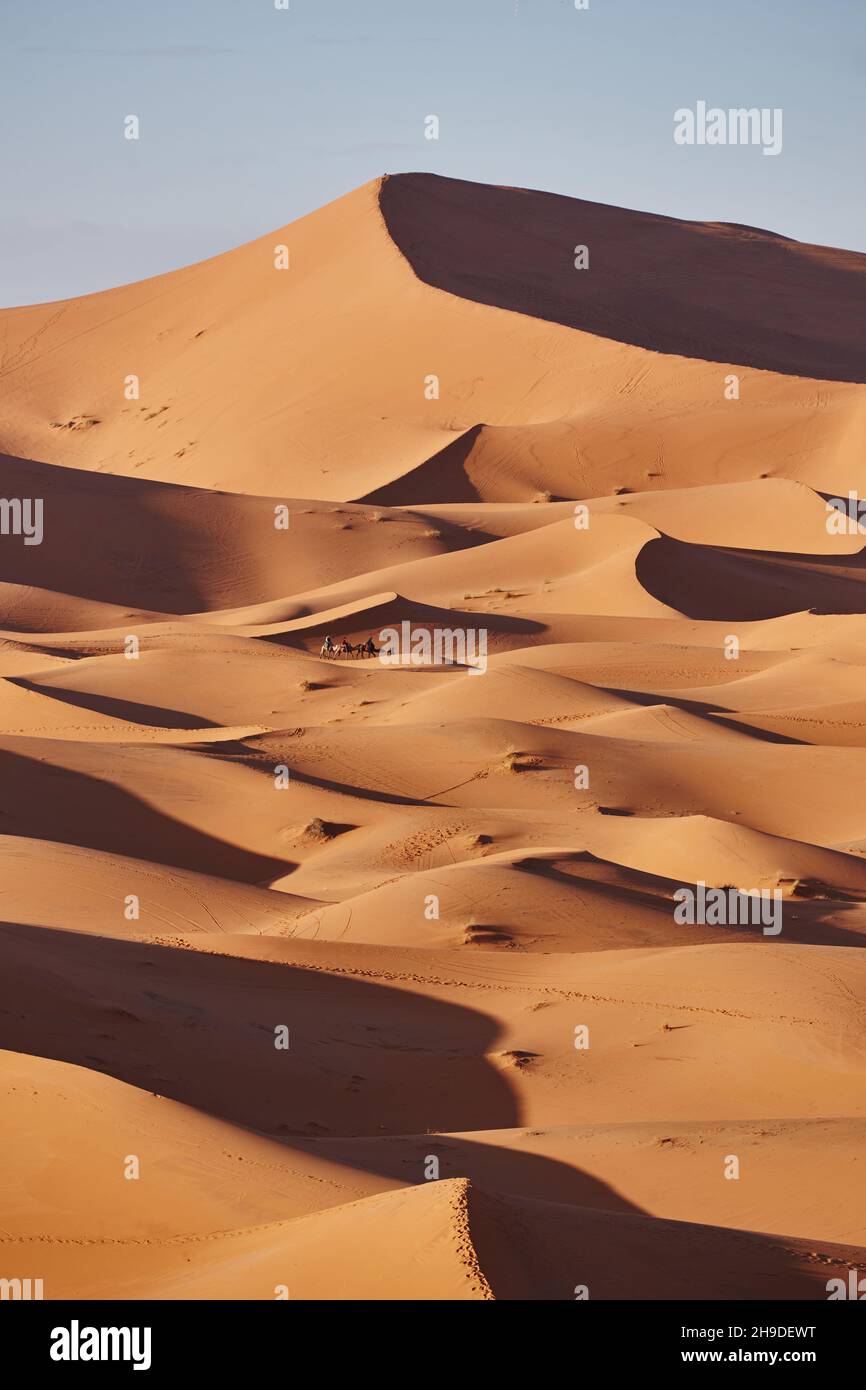 Endless Sands of the Sahara desert. Beautiful sunset over sand dunes of ...