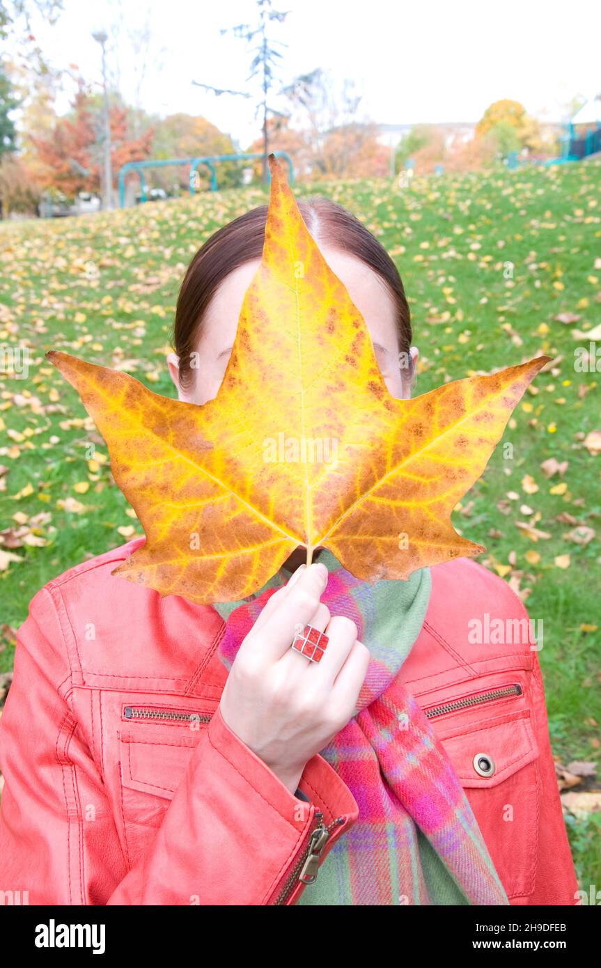 Model with large auburn leaf in Fall Stock Photo - Alamy